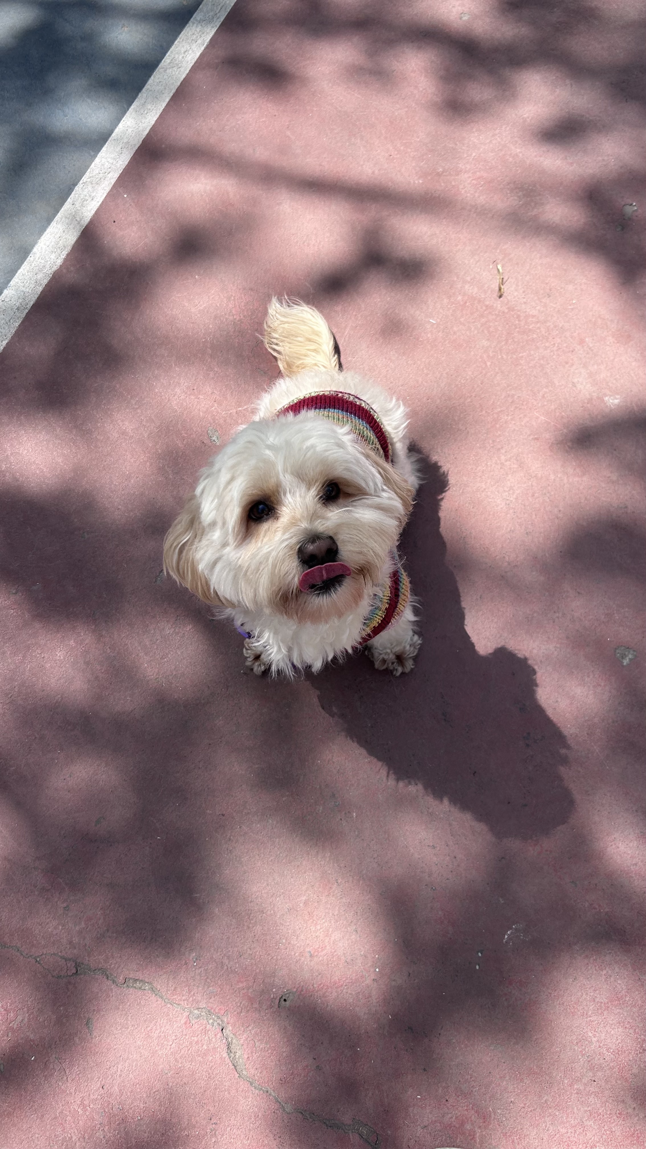 İlknur'un Blog Sayfası